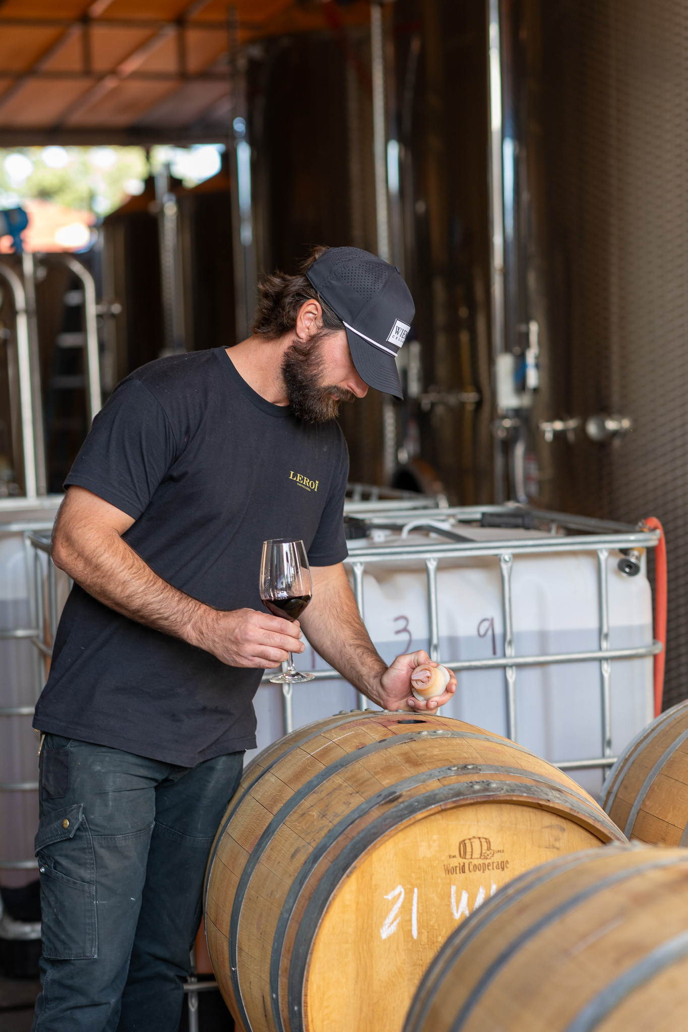 Mastering the Wine Tasting Technique: A Step-by-Step Guide - Wiens Cellars