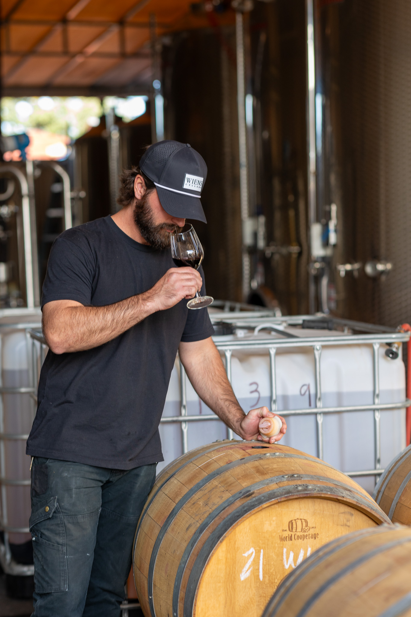 Mastering the Wine Tasting Technique: A Step-by-Step Guide - Wiens Cellars