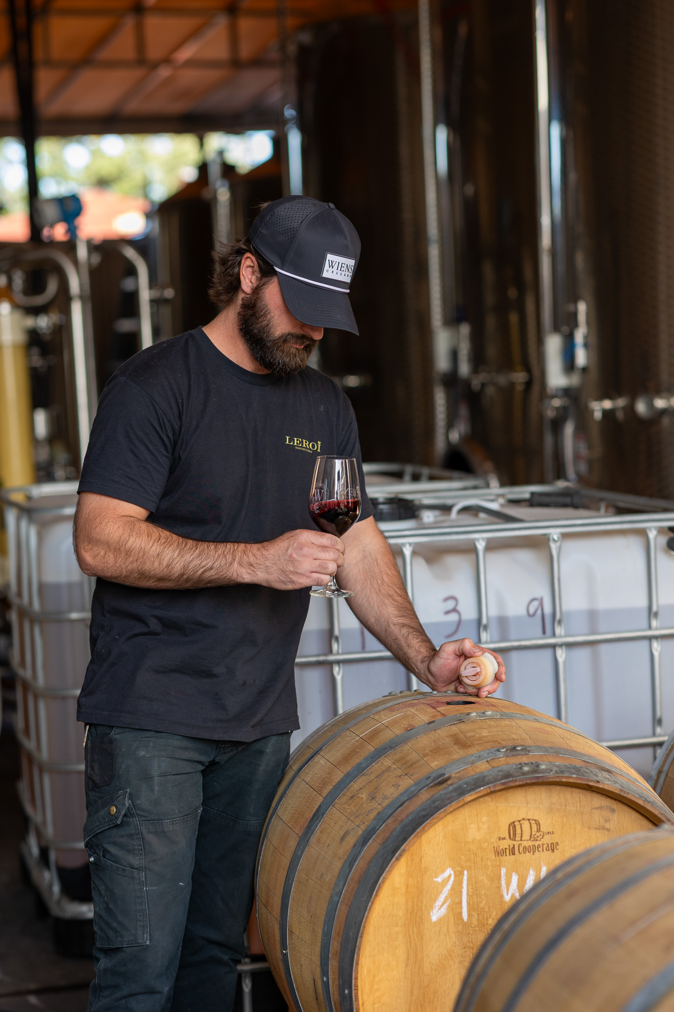 Mastering the Wine Tasting Technique: A Step-by-Step Guide - Wiens Cellars